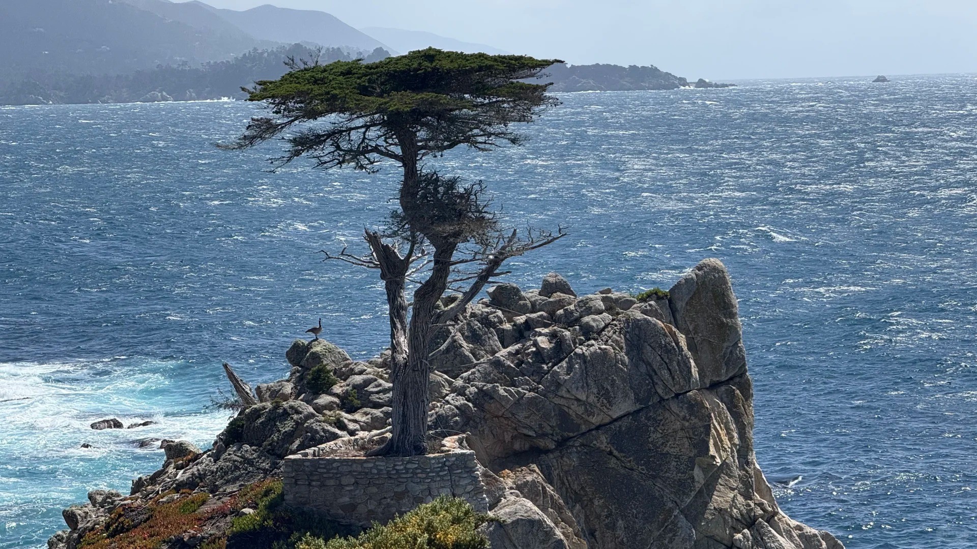 17-Mile Drive Road Trip by Alexander Anders | WanderBoat AI Trip Planner
