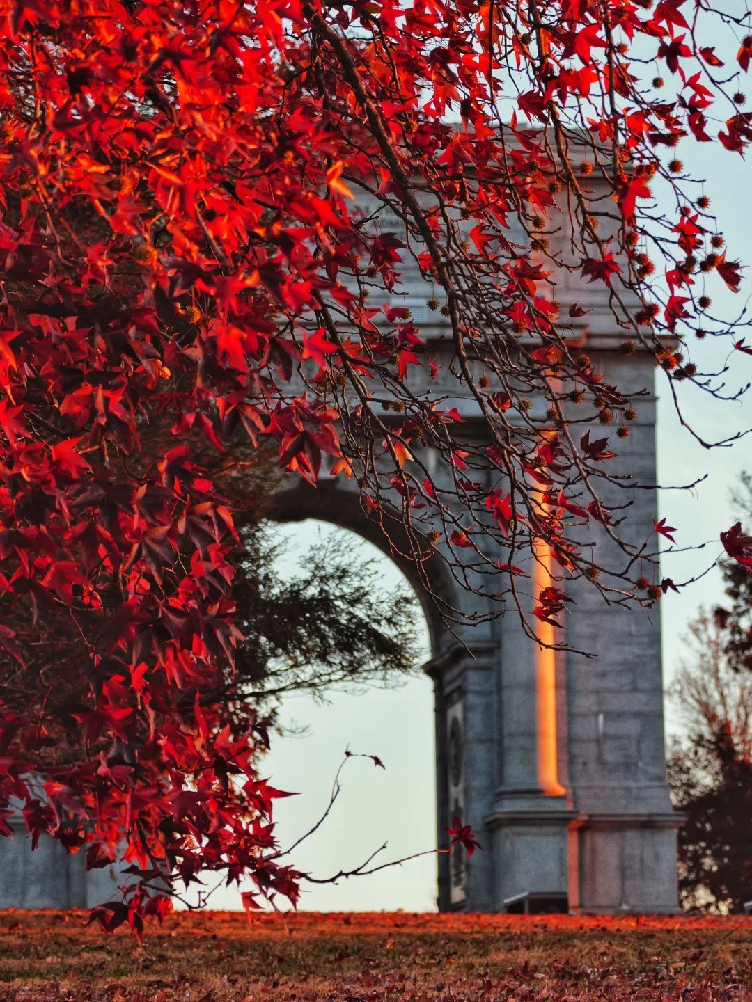 Philadelphia Autumn Vibes | Fall Foliage at Valley Forge 🍁 by Élodie ...