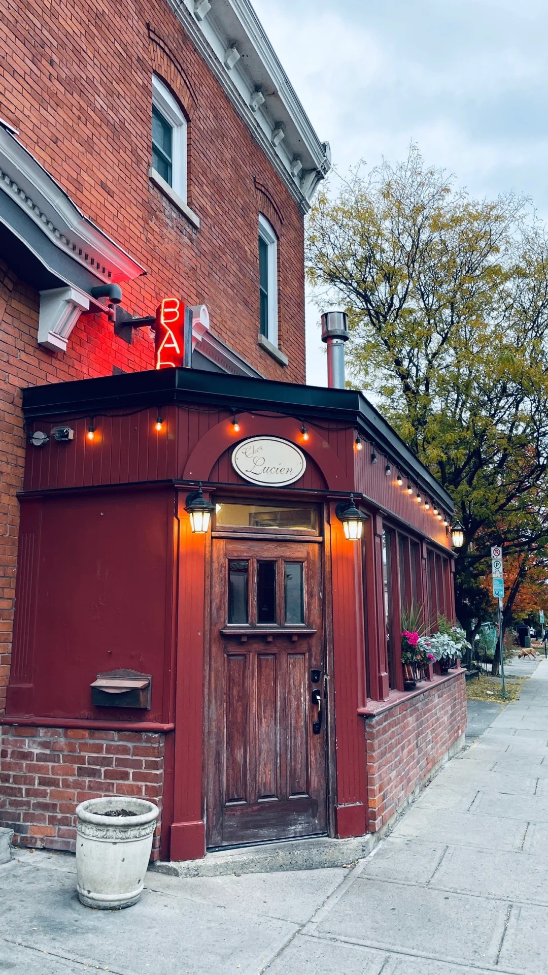 🇨🇦 Ottawa French Gem: Chez Lucien 🍷 by Harper Fisher | WanderBoat AI ...