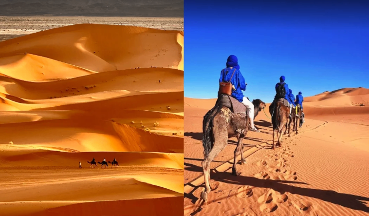 The Golden Gateway to the Sahara – A Once-in-a-Lifetime Paradise! by ...